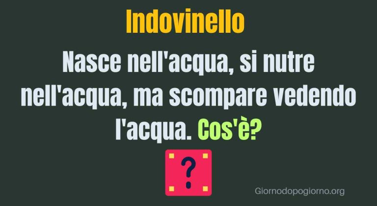 Indovinello del giorno: Nasce nell'acqua, si nutre nell'acqua, ma ...